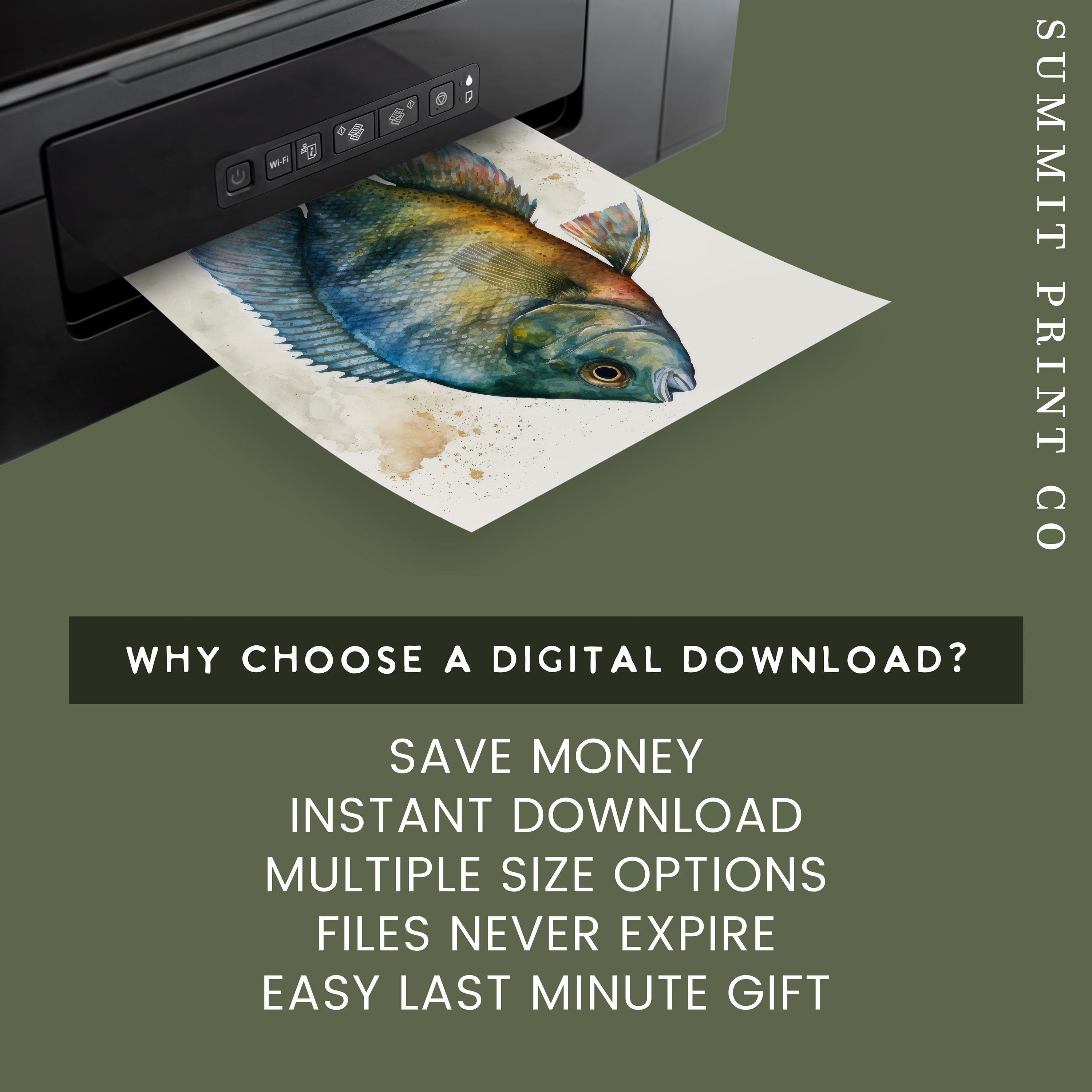 Bluegill Printable Watercolor Art Fish Print Freshwater Fresh Art Cabin ...