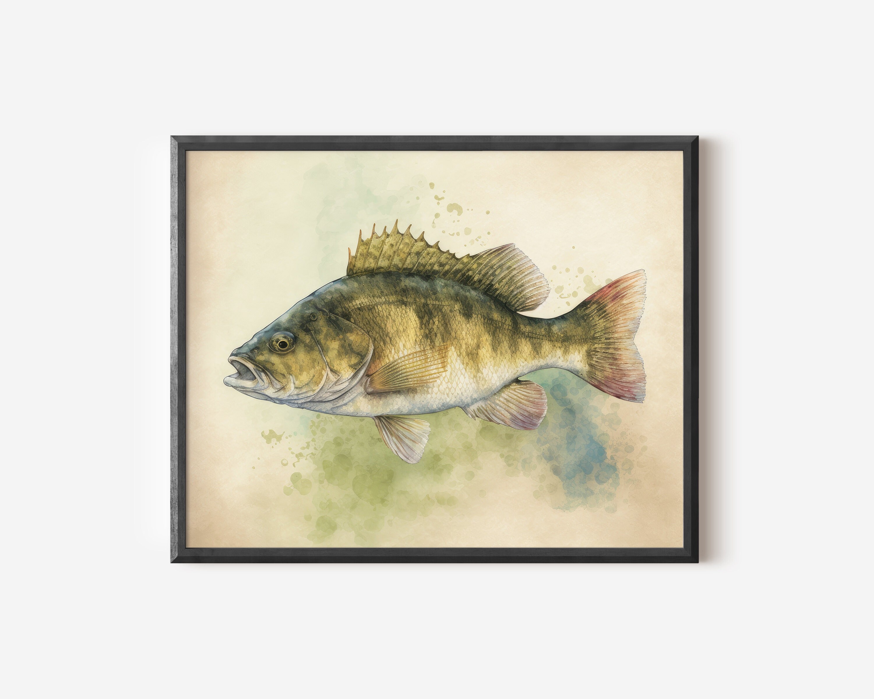 Smallmouth Bass Printable Watercolor Art Fish Print Freshwater Fresh ...