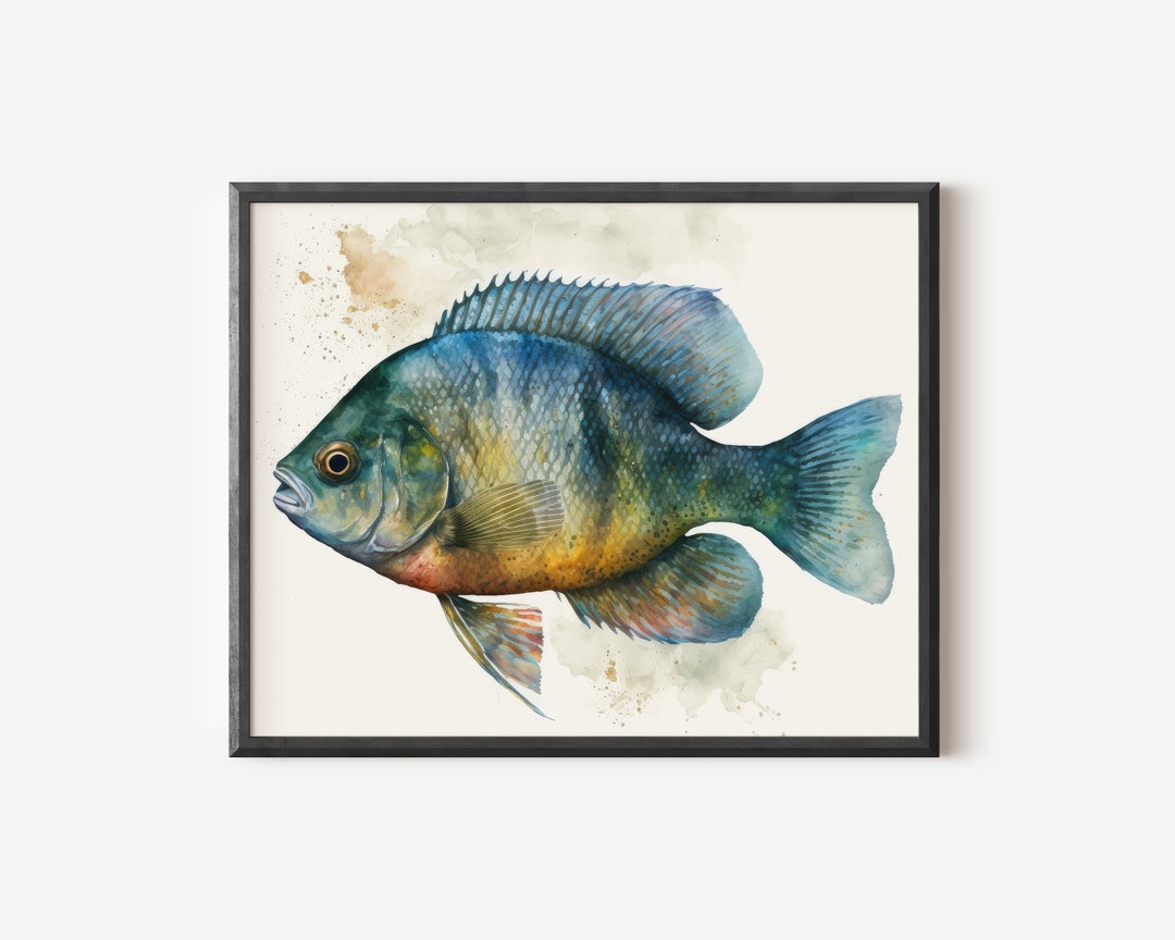 Bluegill Printable Watercolor Art Fish Print Freshwater Fresh Art Cabin ...