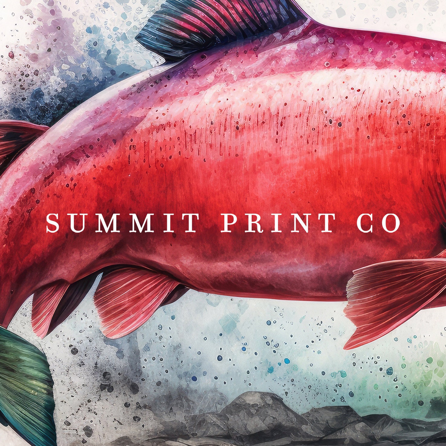 Sockeye Salmon Watercolor Print Salmon Poster Fly Fishing Art Fisherman ...