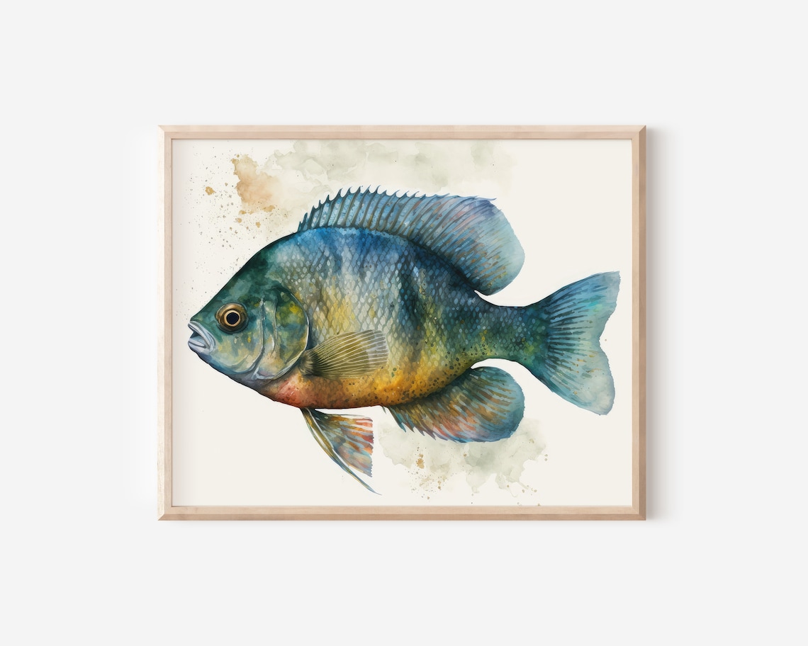 Bluegill Printable Watercolor Art Fish Print Freshwater Fresh Art Cabin ...