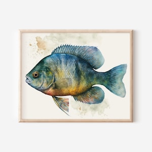 Bluegill Printable Watercolor Art Fish Print Freshwater Fresh Art Cabin ...