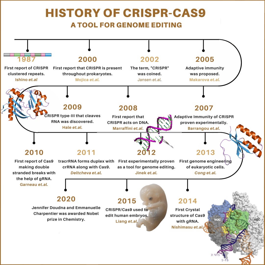History of CRISPR Genome Editing Timeline Poster Digital - Etsy