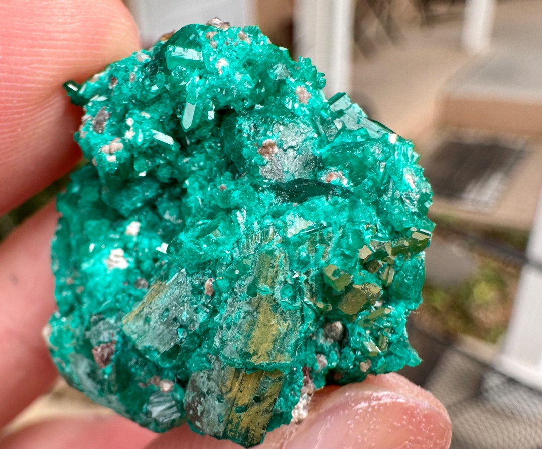 Beeeaautiful Dioptase Natural, High-quality Dioptase Specimen Intense ...