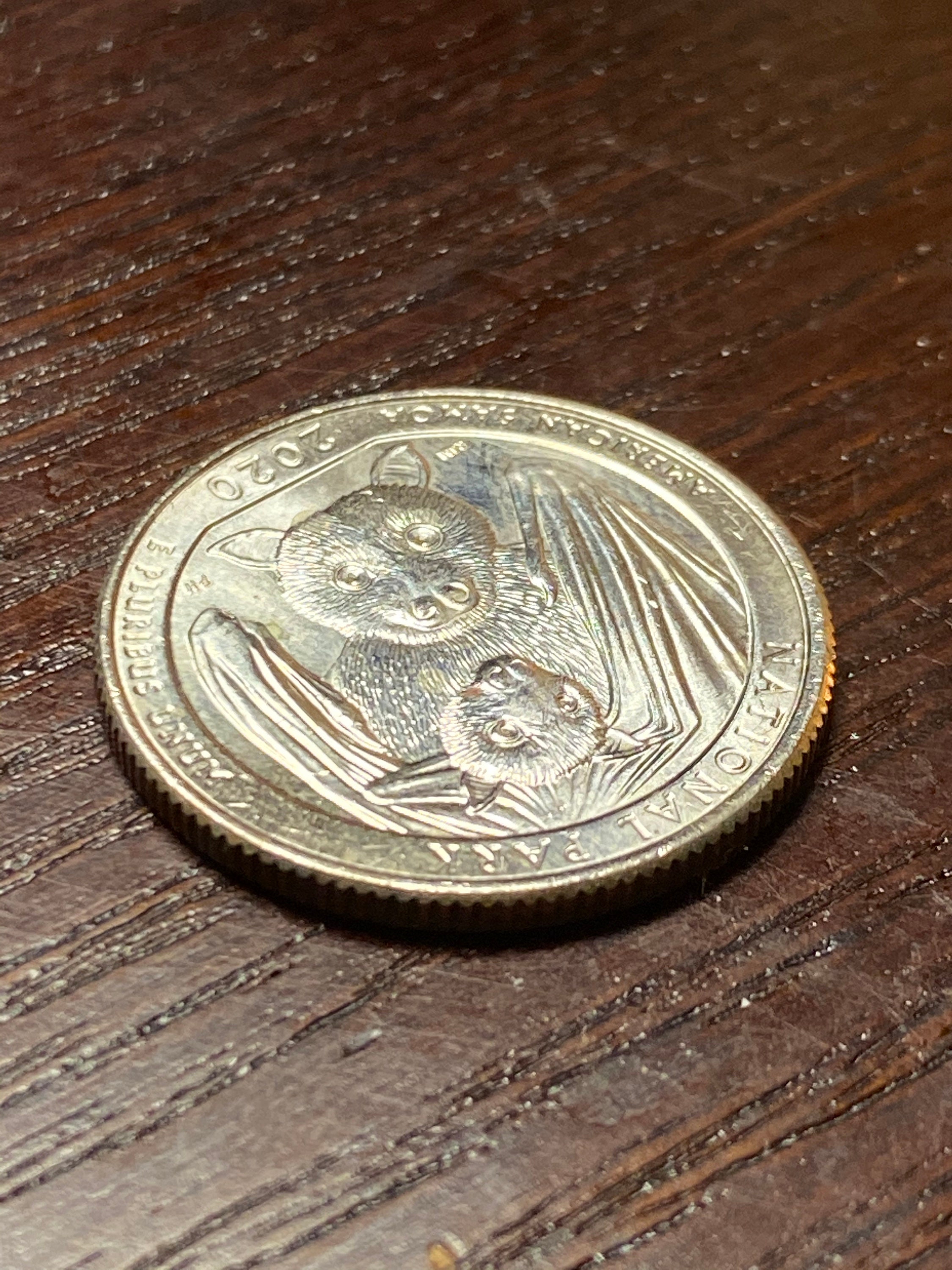 Rare 2020 American Samoa Bat Coin | Etsy