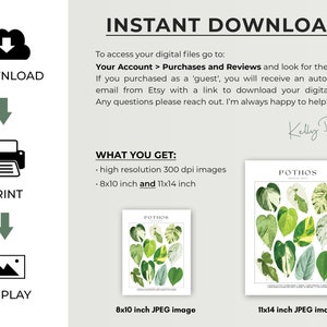 POTHOS Plant Poster, House Plant Identification, Plant Lover Gift ...