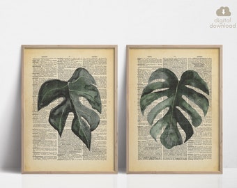 Plant Themed Dictionary Prints - Etsy