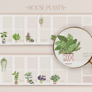 HOUSE PLANTS Themed Desktop Organizer Wallpaper 2023 - 2024 With Folder ...