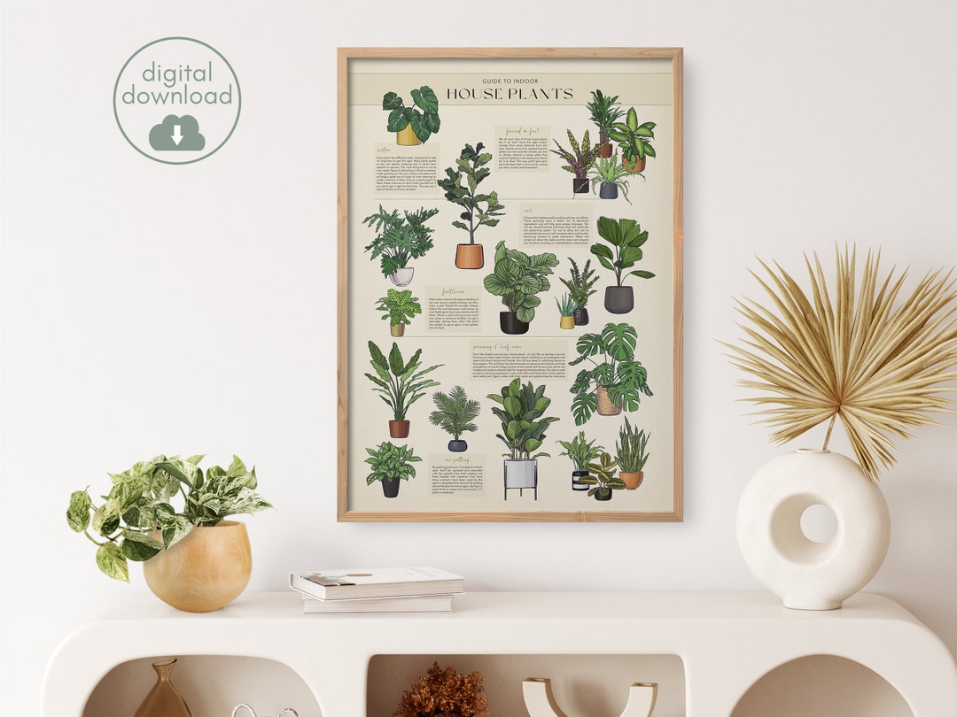 Plant Poster Houseplant Poster Plant Print Plant Wall Art - Etsy