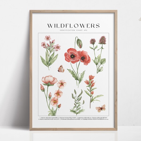 Nature Poster - Etsy