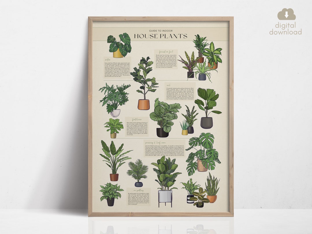 Plant Poster, Houseplant Poster, Plant Print, Plant Wall Art, Potted ...