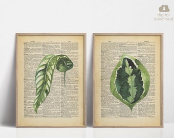 Plant Themed Dictionary Prints - Etsy