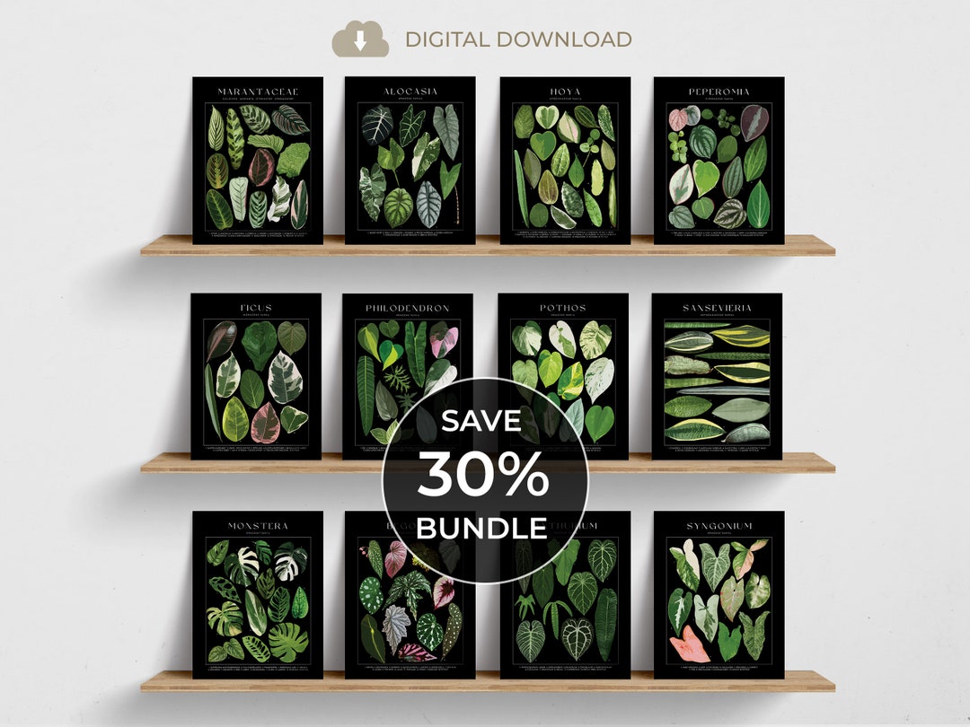 BUNDLE Plant Poster, House Plant Identification, Plant Lover Gift ...