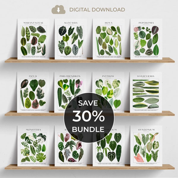 Plant Identification Chart Poster - Etsy