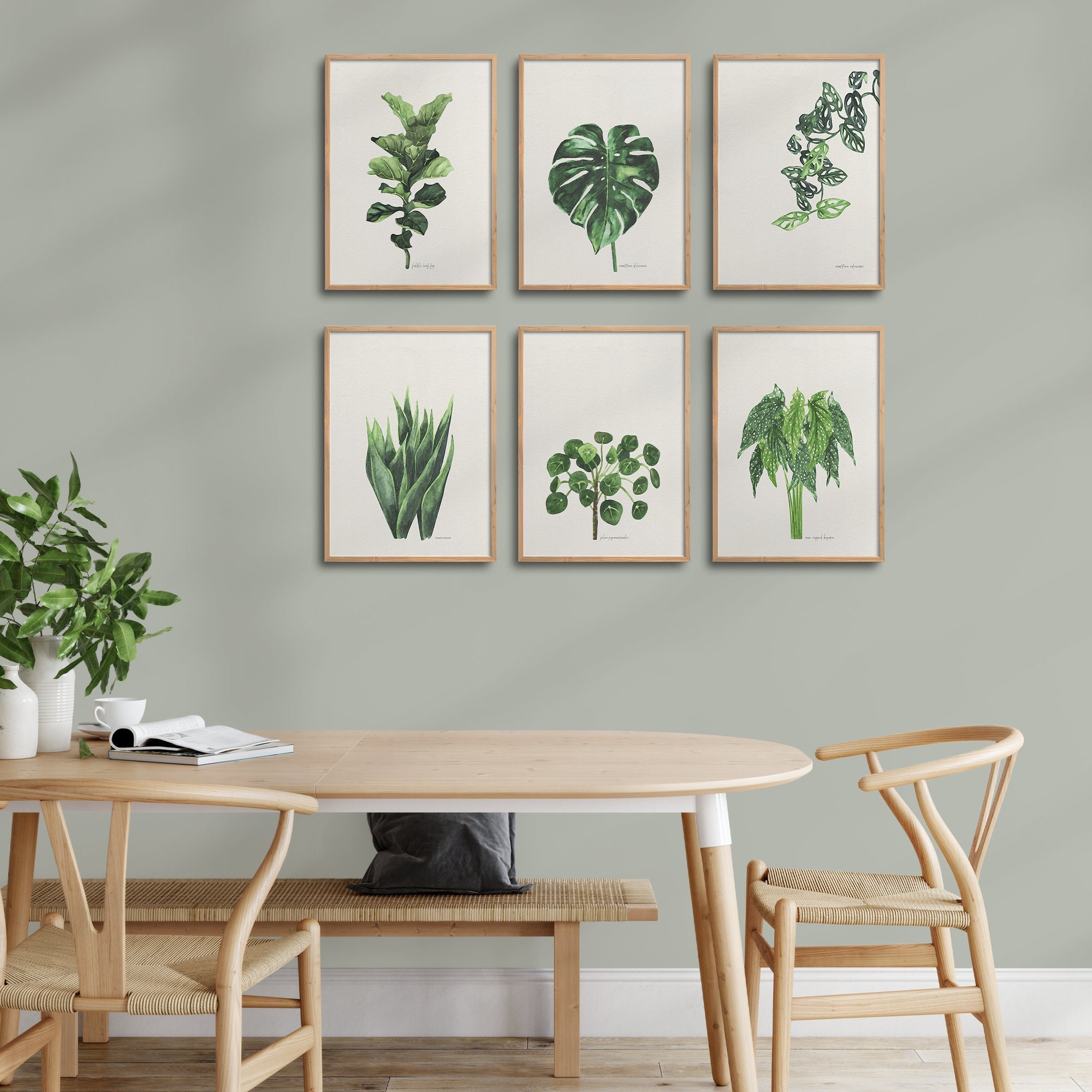 Watercolour Painting Plant Poster Includes Snake Plant - Etsy