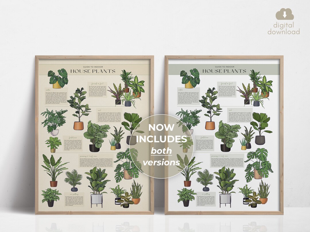 Plant Poster Houseplant Poster Plant Print Plant Wall Art - Etsy