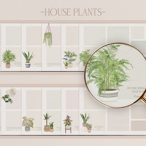 HOUSE PLANTS Themed Desktop Organizer Wallpaper 2023 - 2024 With Folder ...