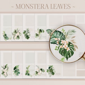 MONSTERA LEAVES Desktop Organizer Wallpaper 2023 - 2024 With Folder ...