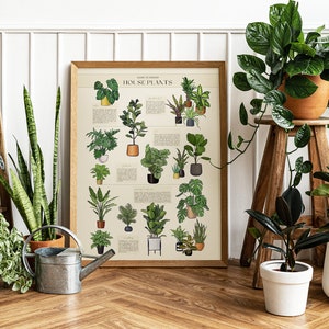 Plant Poster, Houseplant Poster, Plant Print, Plant Wall Art, Potted ...
