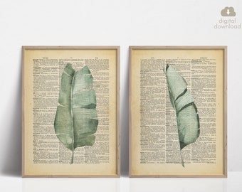 Plant Themed Dictionary Prints - Etsy