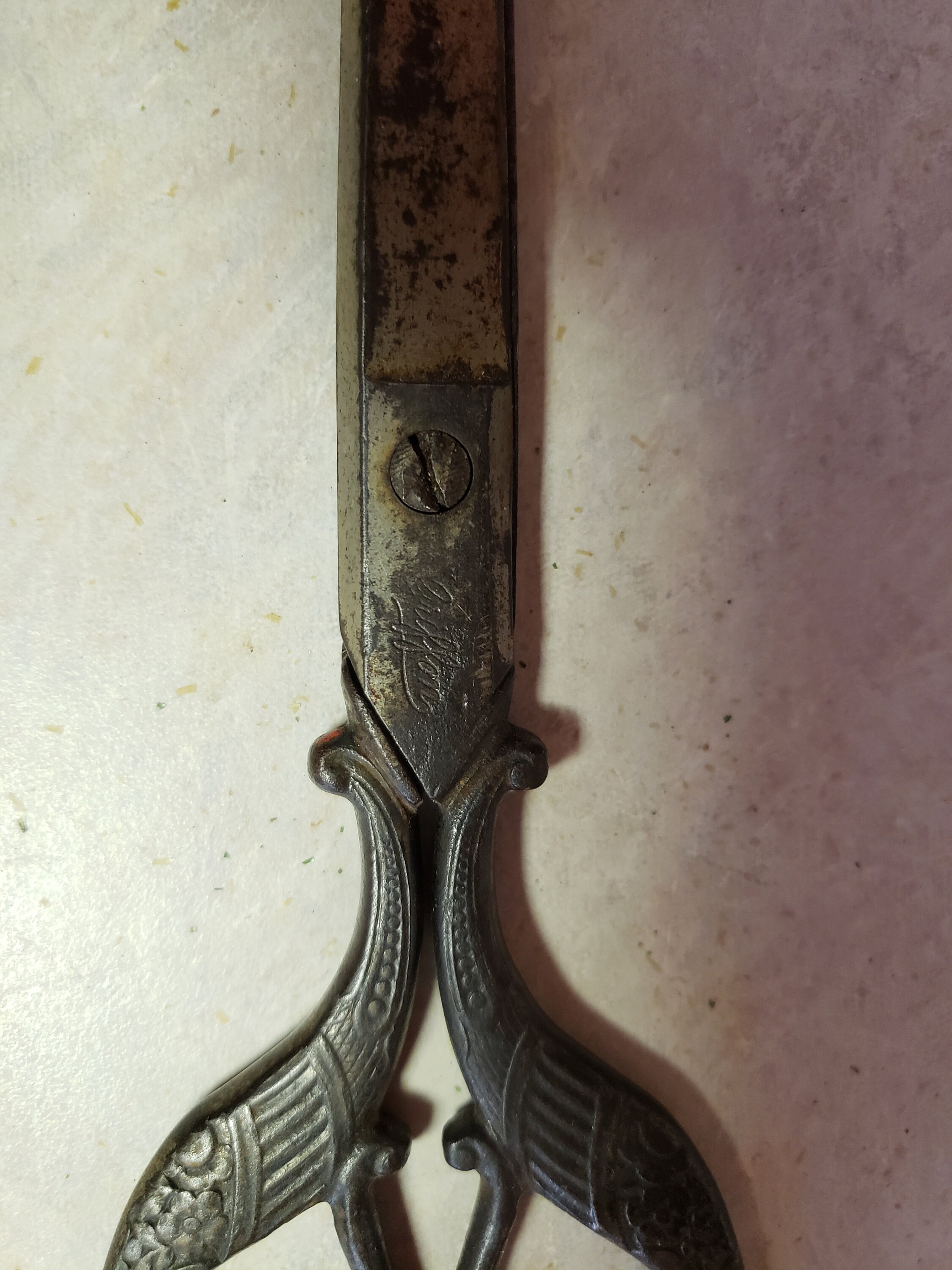 Antique Steel German Griffon Scissors - Etsy
