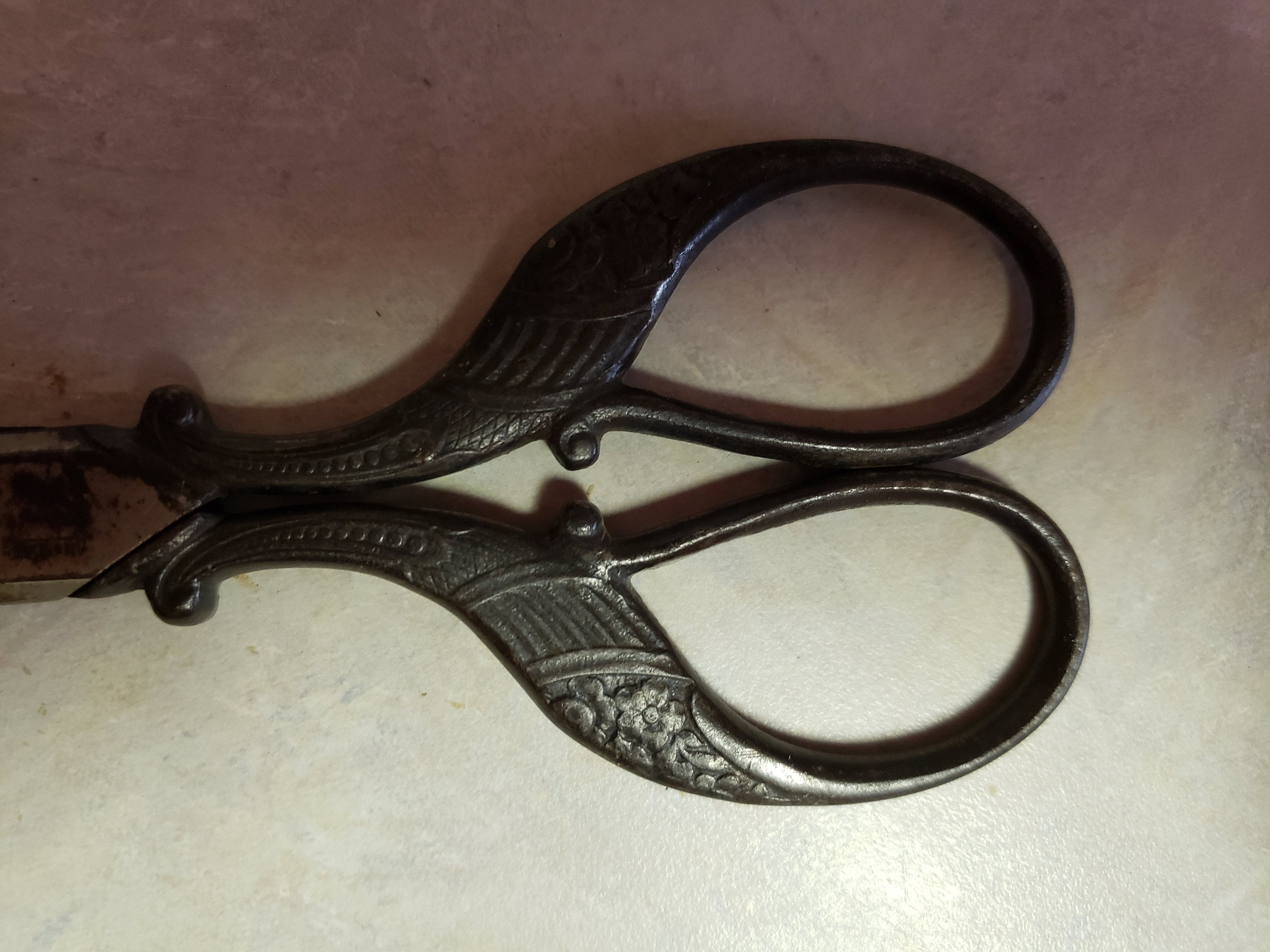 Antique Steel German Griffon Scissors - Etsy