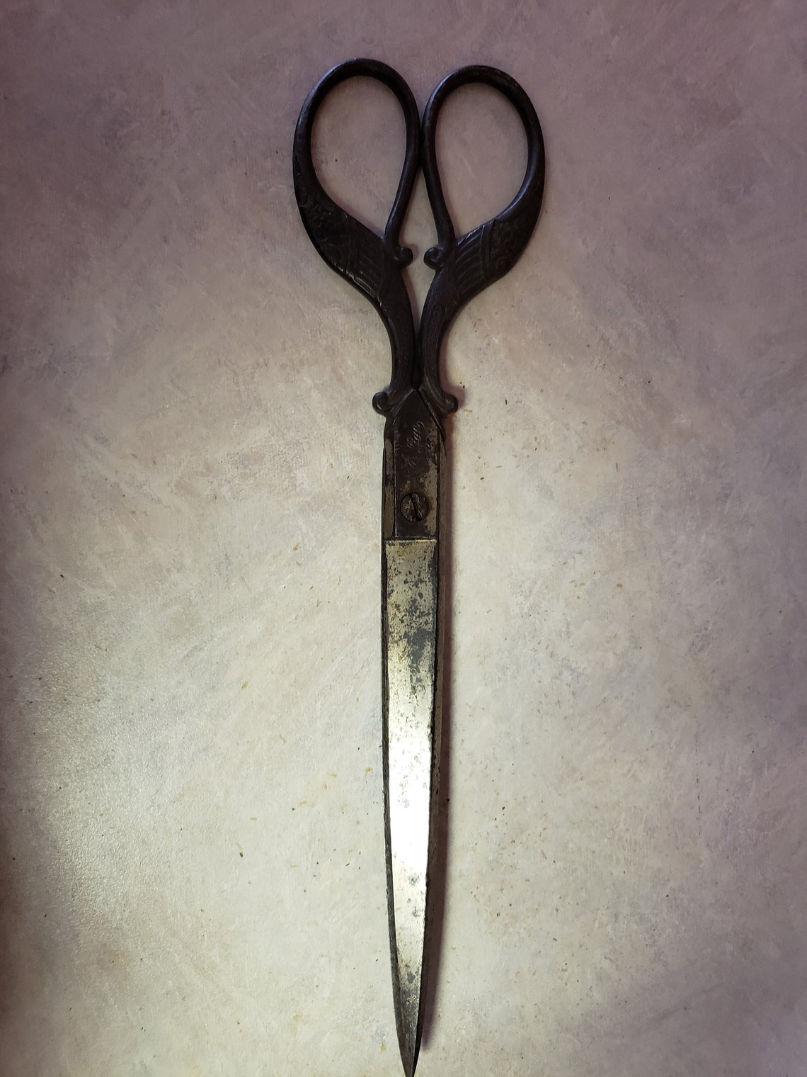 Antique Steel German Griffon Scissors - Etsy