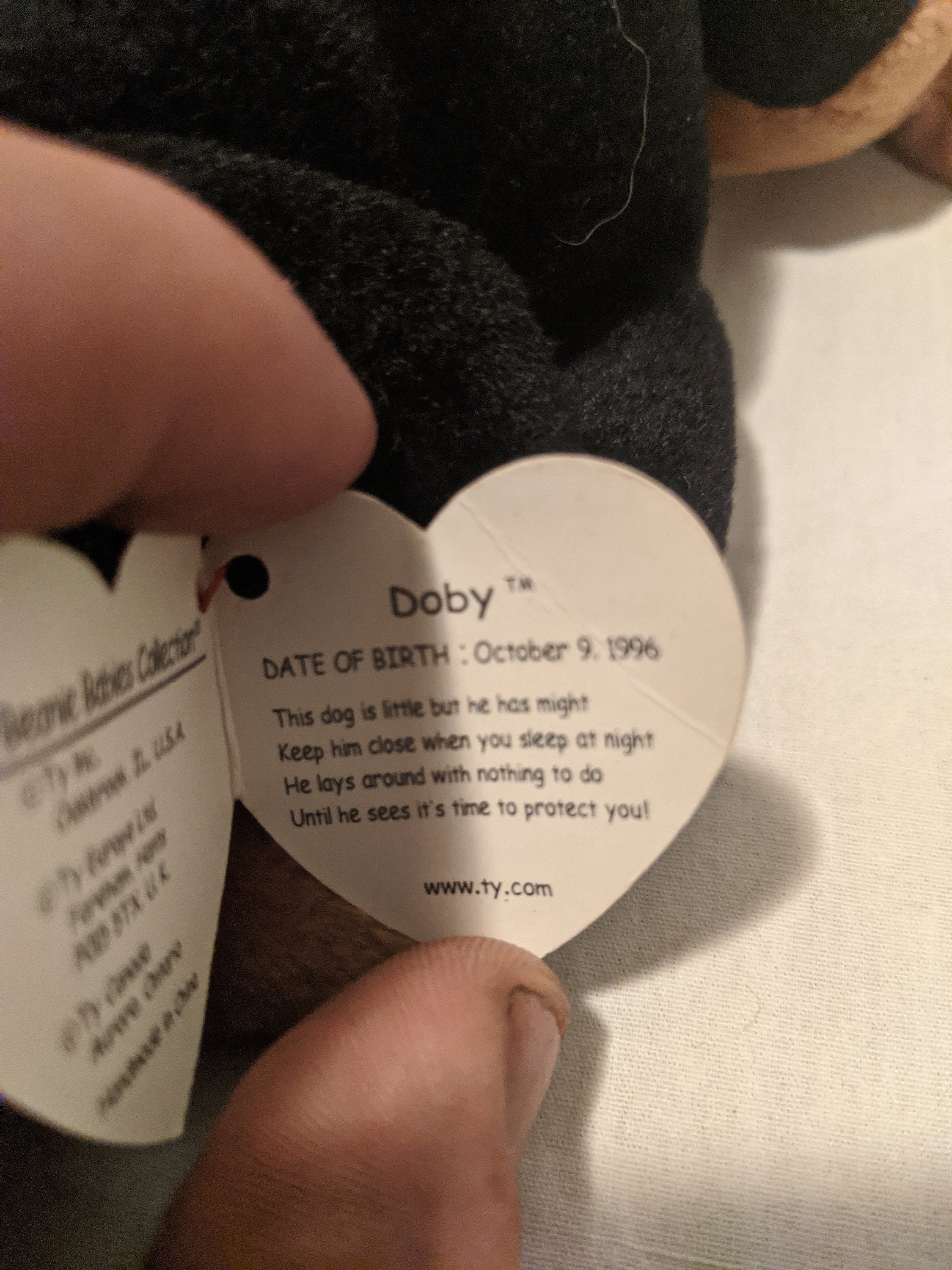 Beanie Baby Doby the Bear - Etsy