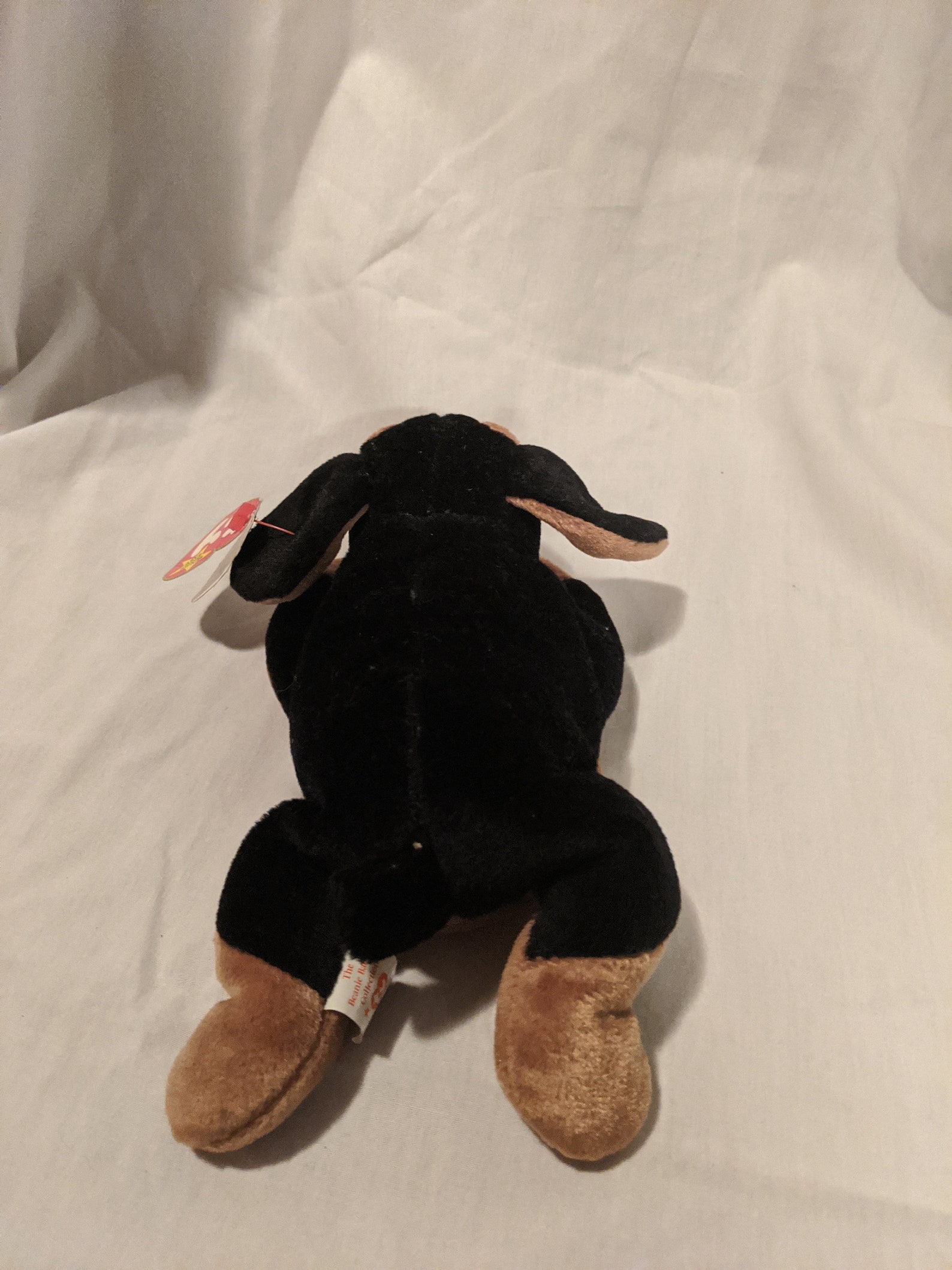 Beanie Baby Doby the Bear - Etsy