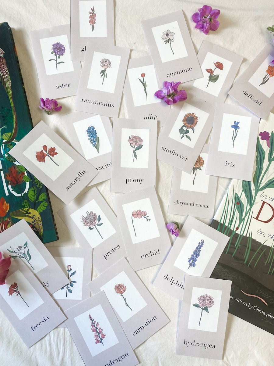 Montessori Flower Flashcards - Etsy