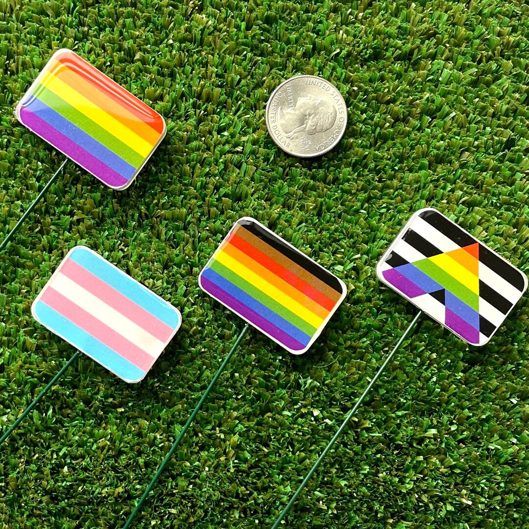 Pride Flag Plant Stake - LGBTQ+ Transgender Ally Progress Terrarium ...