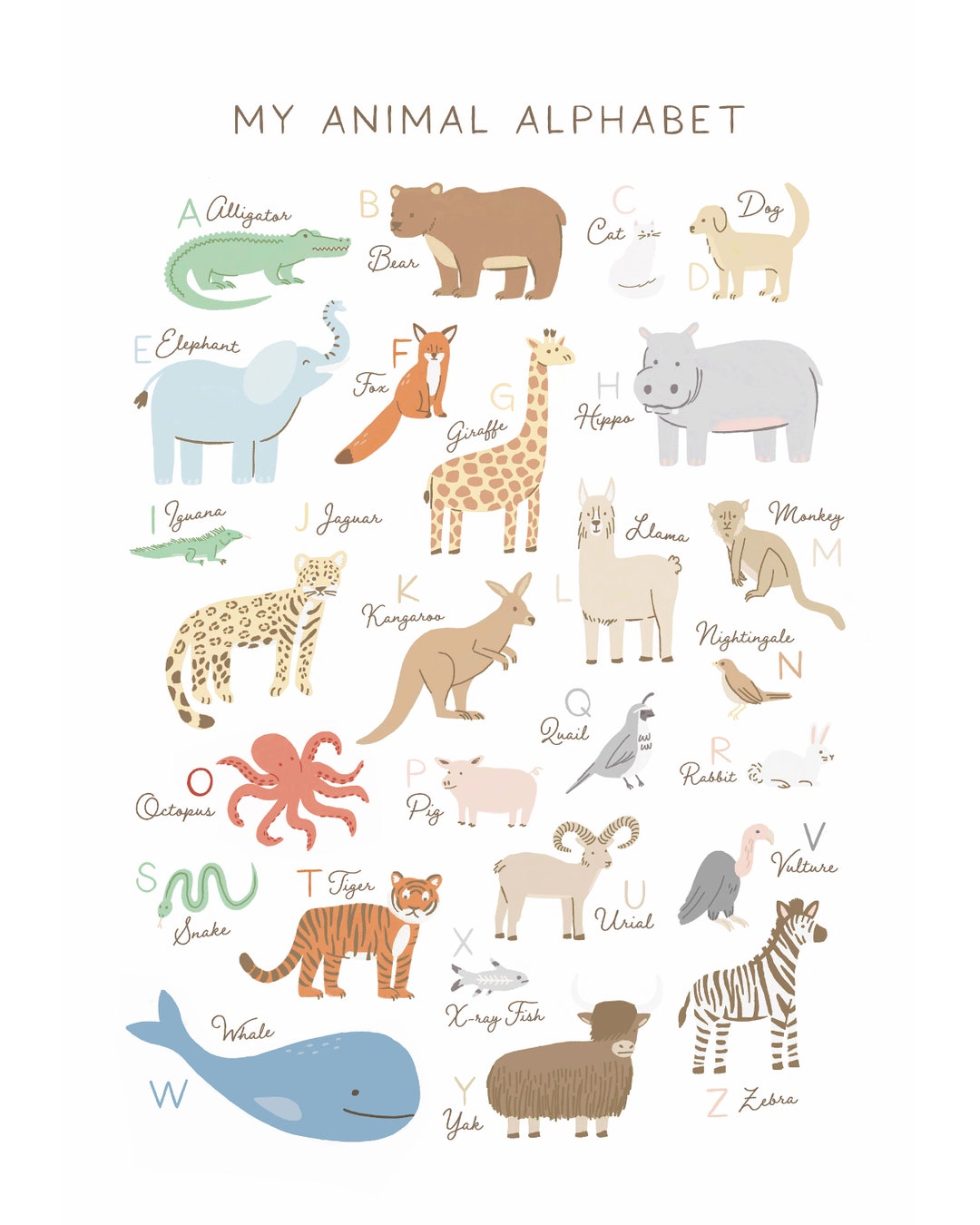 My Animal Alphabet Canvas Poster - Educational Posters for Toddlers ...