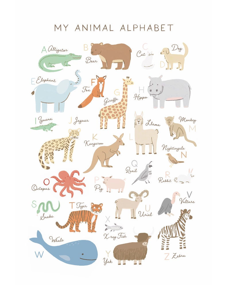 My Animal Alphabet Canvas Poster - Educational Posters for Toddlers ...