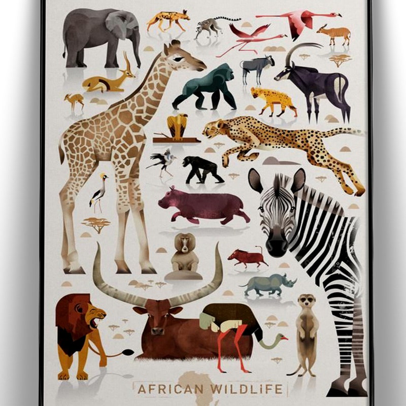 African Animal Posters - Etsy
