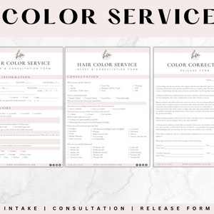 Professional Hair Stylist Client Forms BUNDLE, Color Correction Forms ...