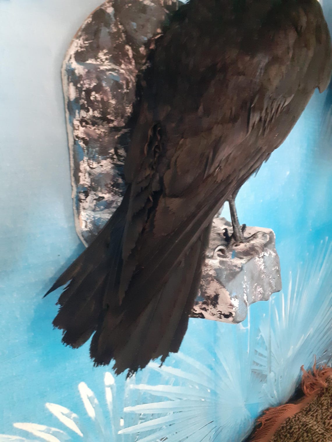 Taxidermy Stuffed Raven - Etsy