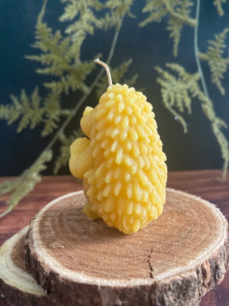 Little Hedgehog Forager Beeswax Candle - Etsy