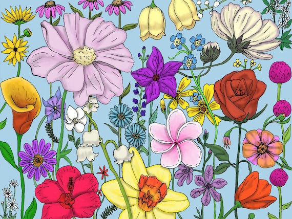 Disegni Di Fiori A Colori Immagini E Foto Stock Di Disegni Di Fiori
