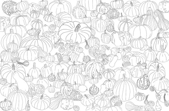 Pumpkins and Gourds Coloring Page Fall Coloring Page | Etsy