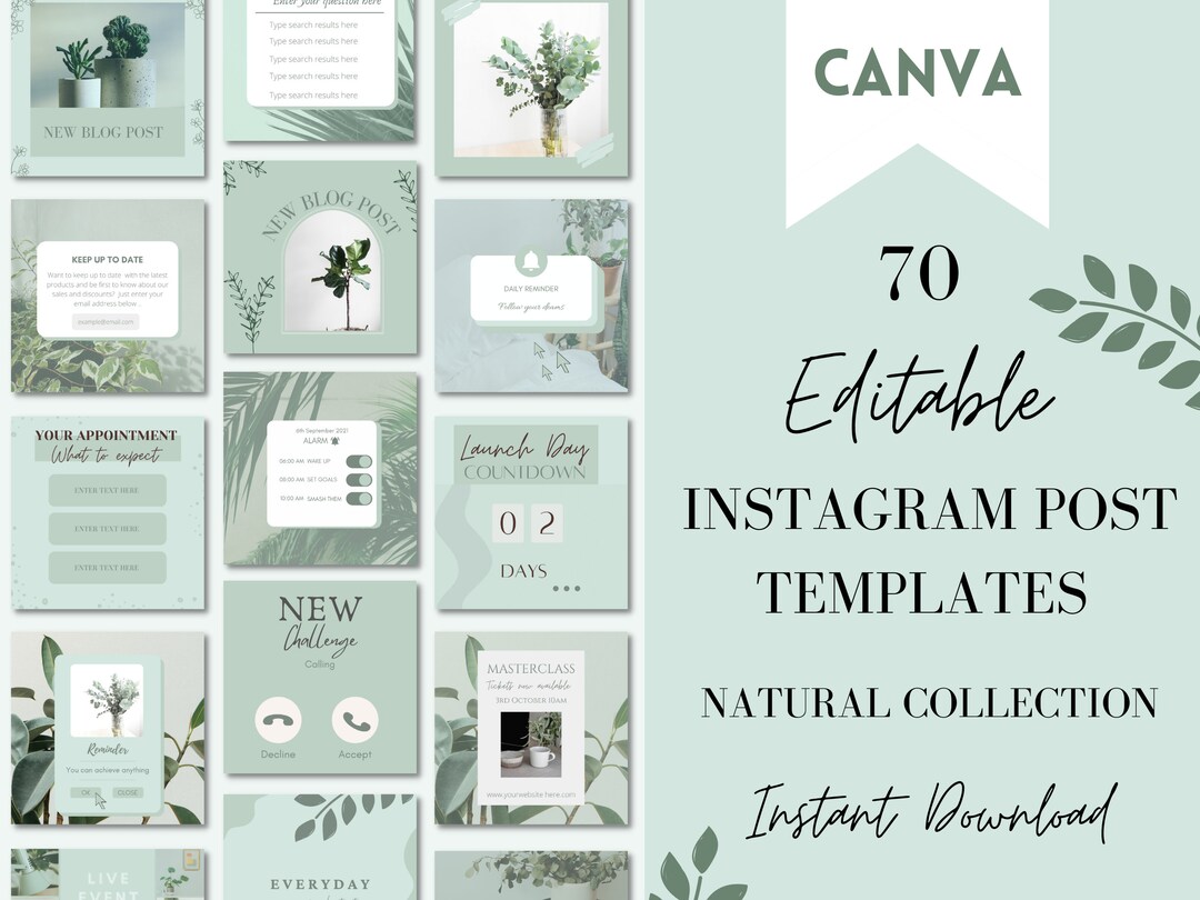 Green Instagram Post Templates, Instant Download, Sage Green, Natural ...