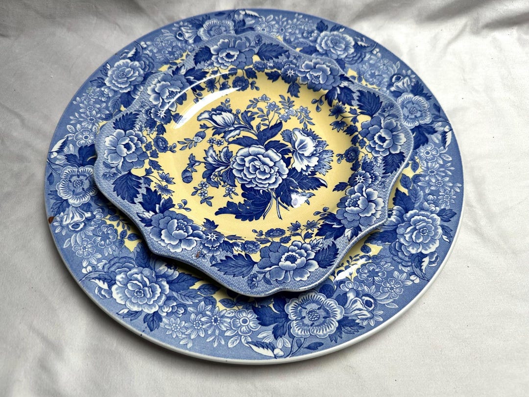 Vintage Spode the Blue Room Dinnerware Set of Two Plates Large and ...