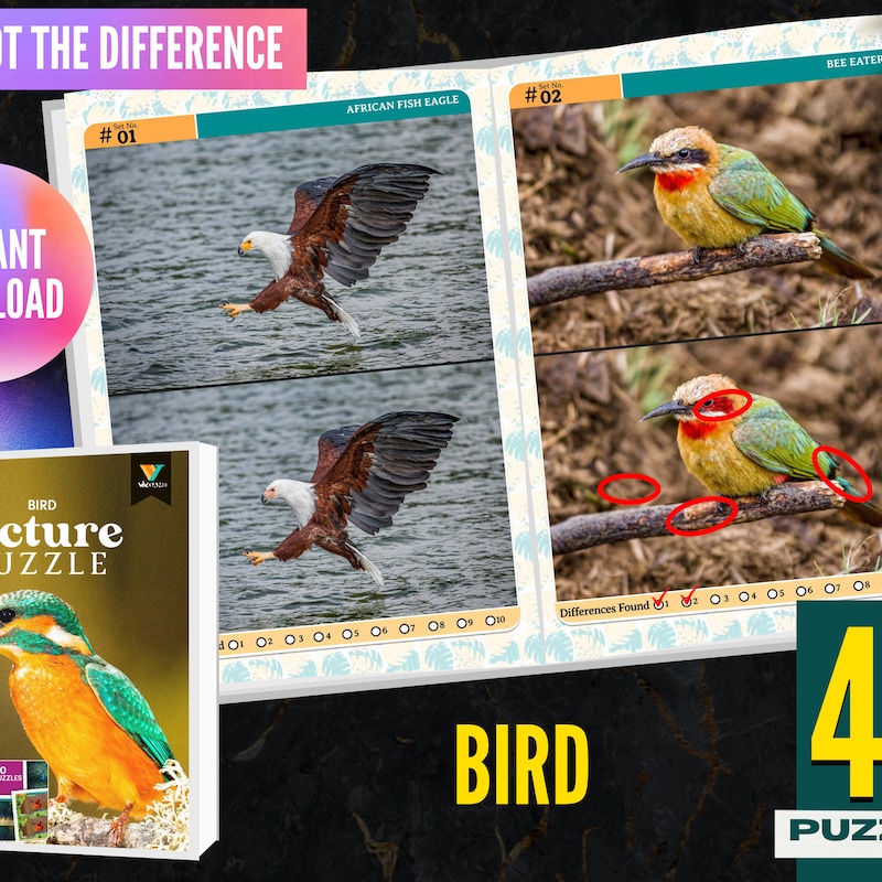 Bird Spotting Printable - Etsy