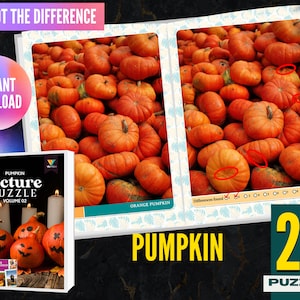 Fall Pumpkin Find the Difference, Thanksgiving Gift, Search and Find ...