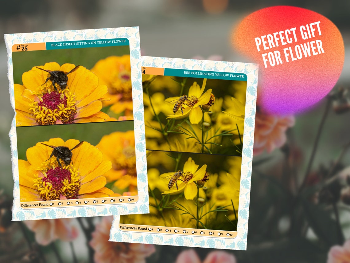 Flower Spot the Difference Coloring Printable Pages Love - Etsy