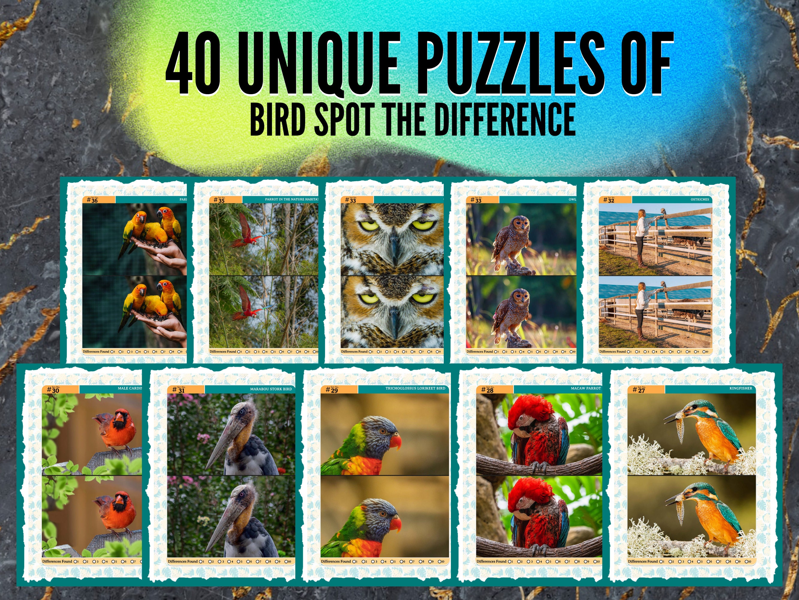 Bird Spot the Difference, Coloring Printable Pages, Love Find the ...