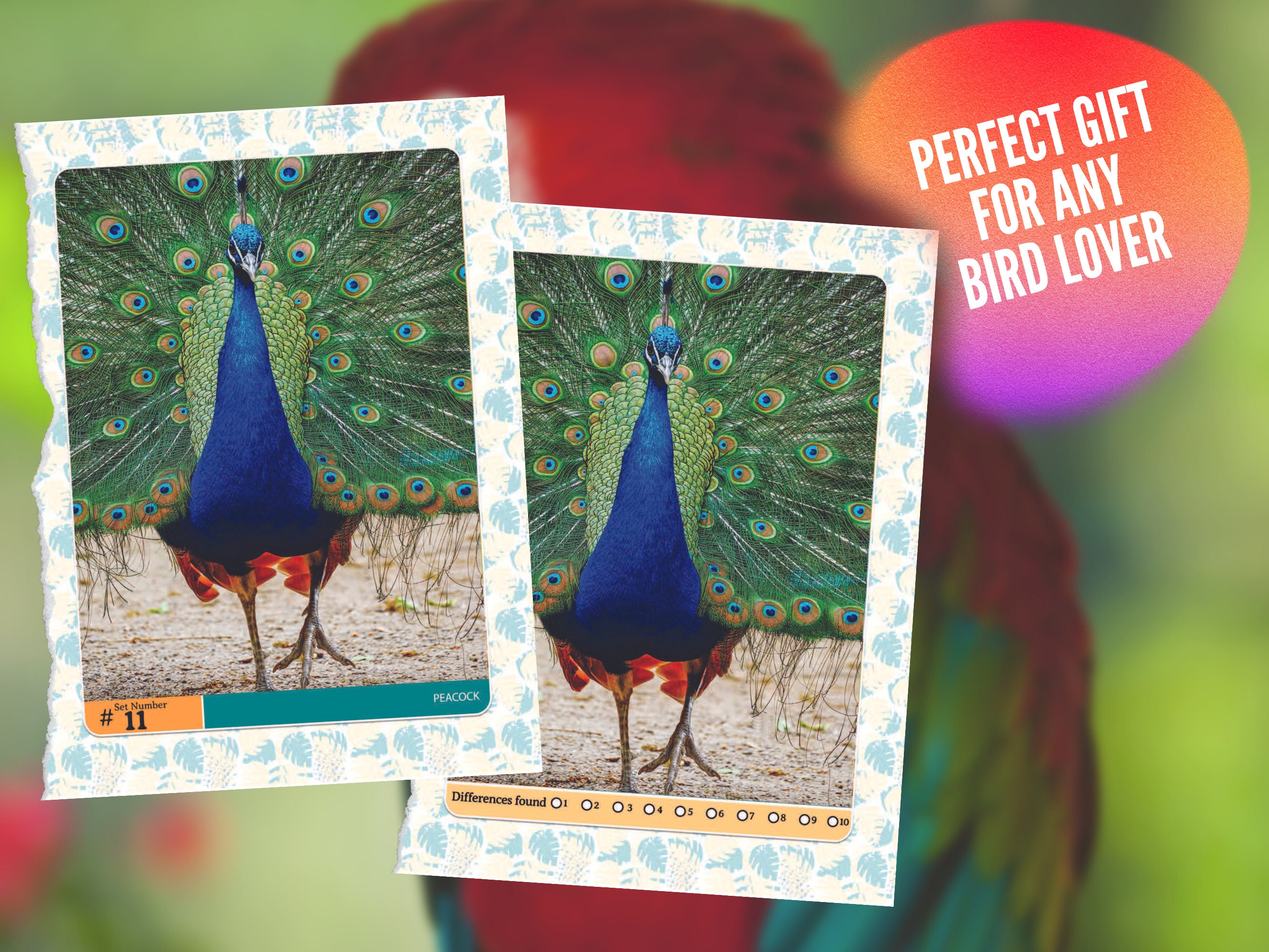 Bird Spot the Difference, Coloring Printable Pages, Love Find the ...