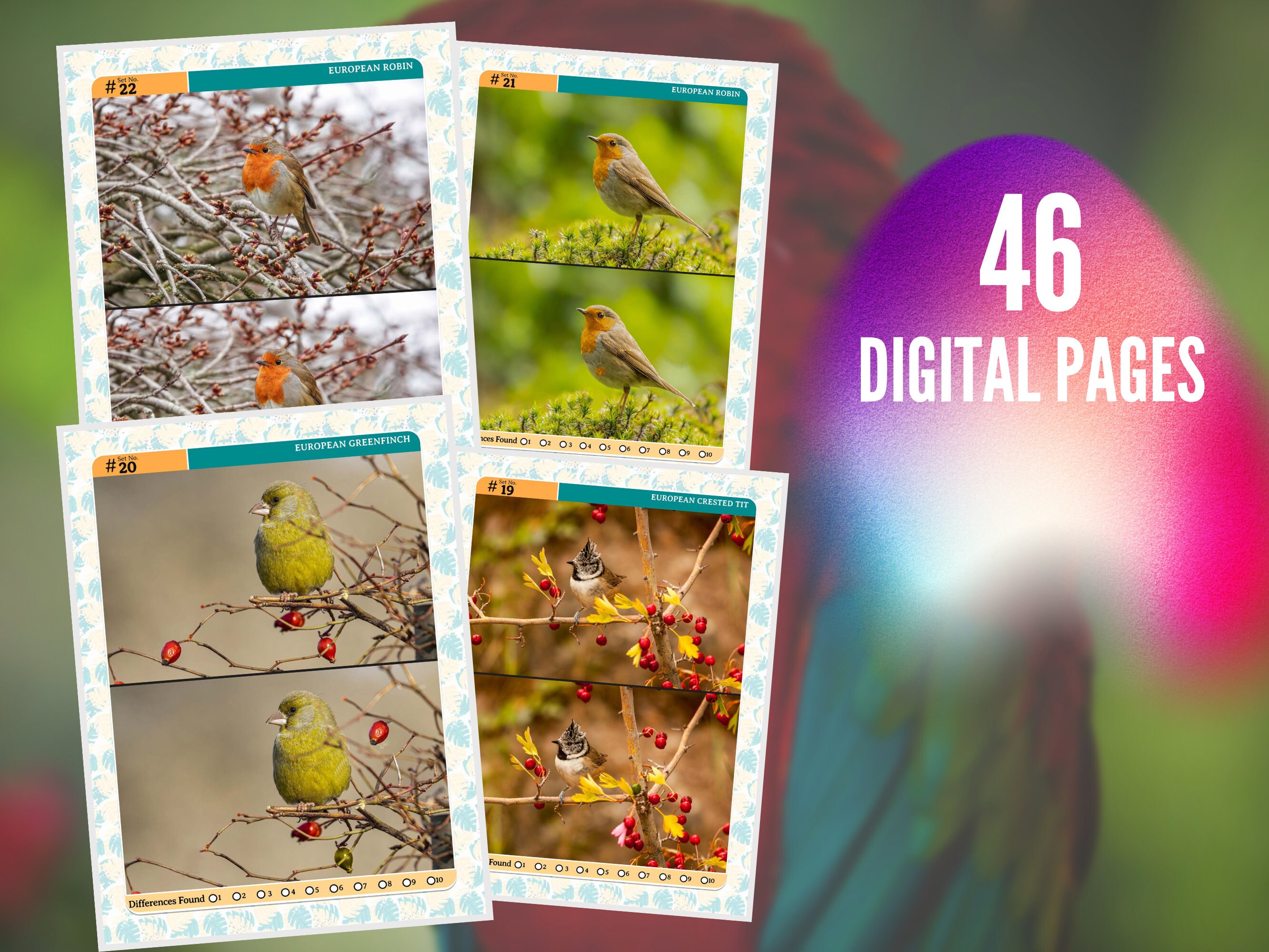 Bird Spot the Difference, Coloring Printable Pages, Love Find the ...