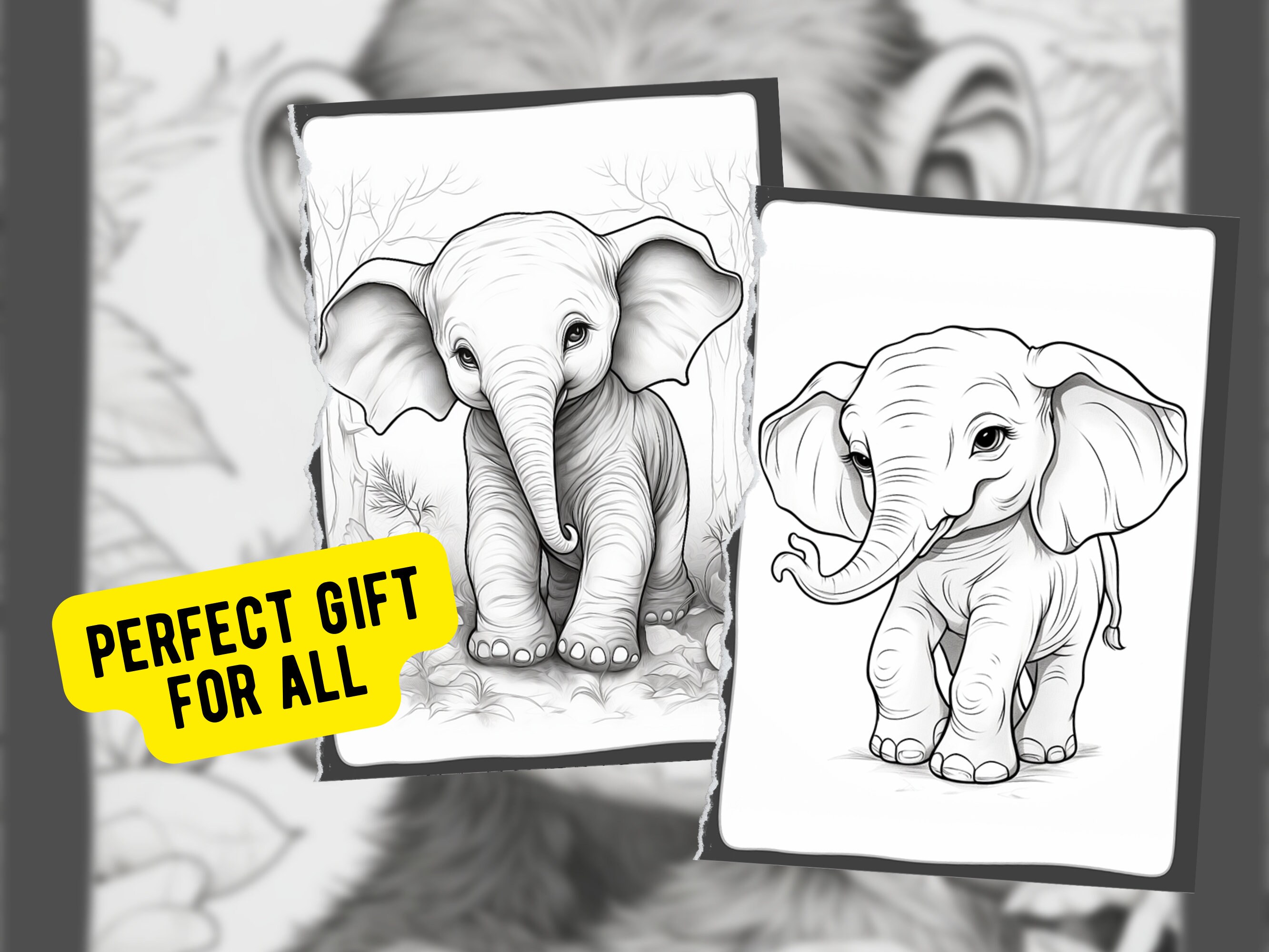 50 Safari Wild Animals Coloring Pages, Instant Download, Wildlife ...