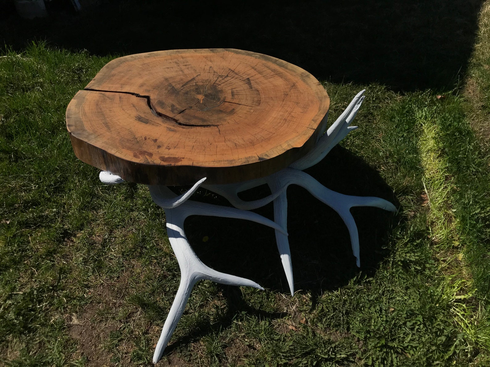 Oak & Elk Antler Coffee Table - Etsy