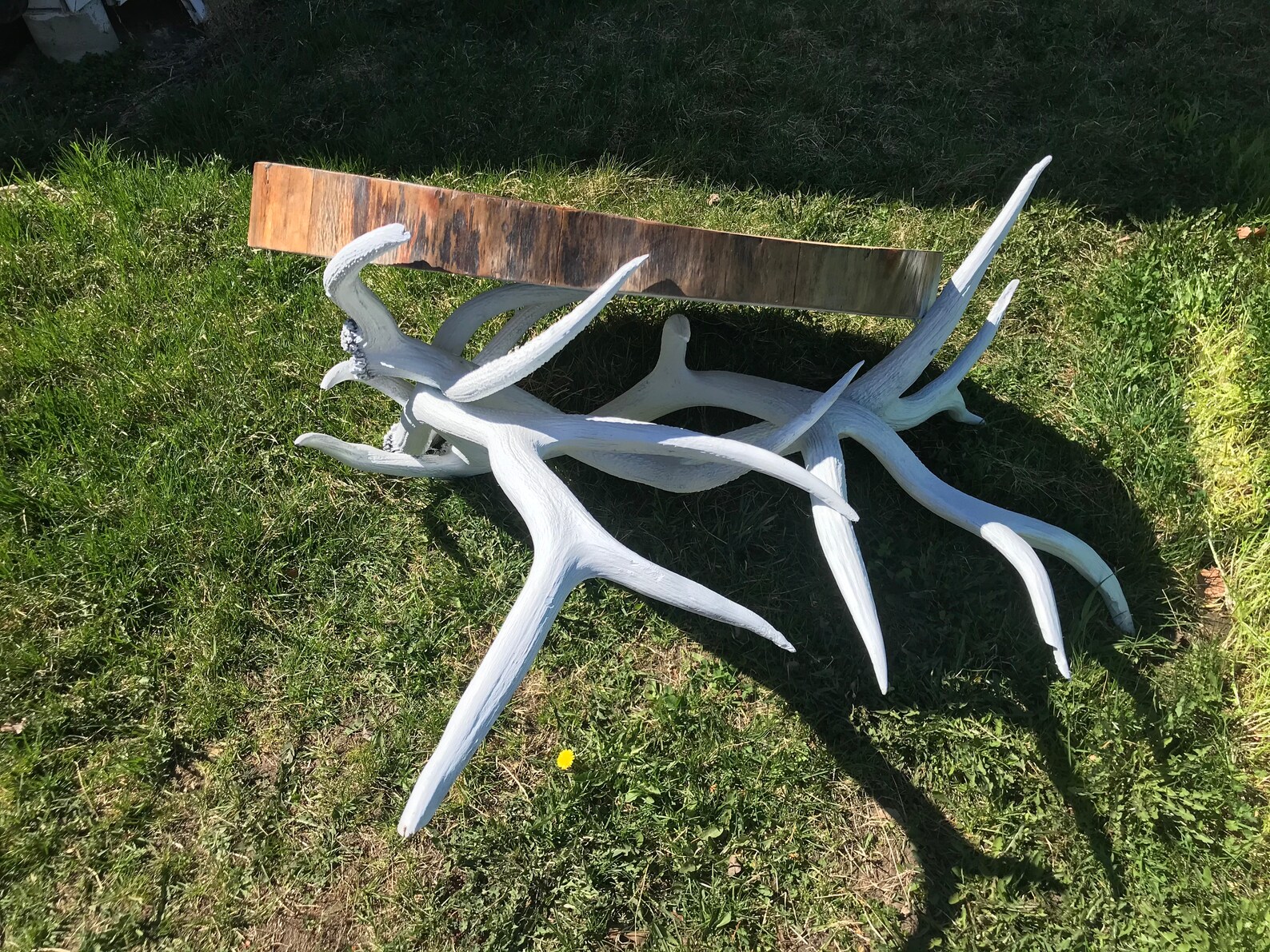 Oak & Elk Antler Coffee Table - Etsy